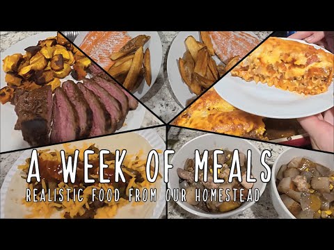 A Realistic Week of Meals - Food on the Homestead - YouTube