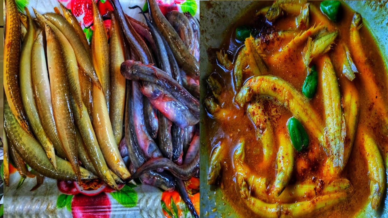 সাবেকি স্বাদে গোচি মাছ রেসিপি/Tradisional Guche Macher Recipe/Pakal ...