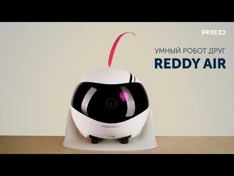 Умный робот-друг REDDY AIR - YouTube
