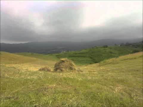 Асланбек Идрисов - Чубарук (Ласточка)