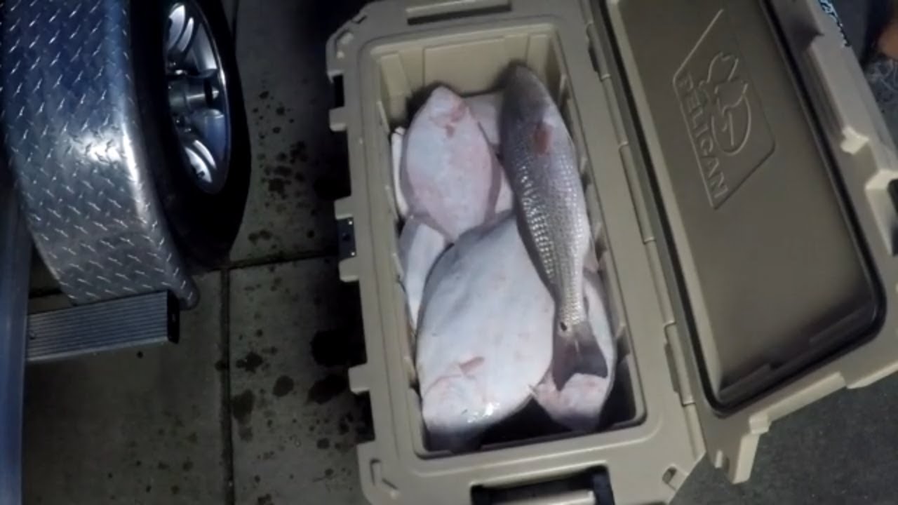 Meat run complete! #shorts - YouTube