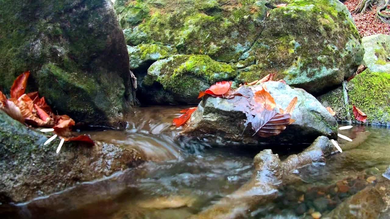 The Sound of Water for Stress Relief | Relaxing River Sounds | Water ...