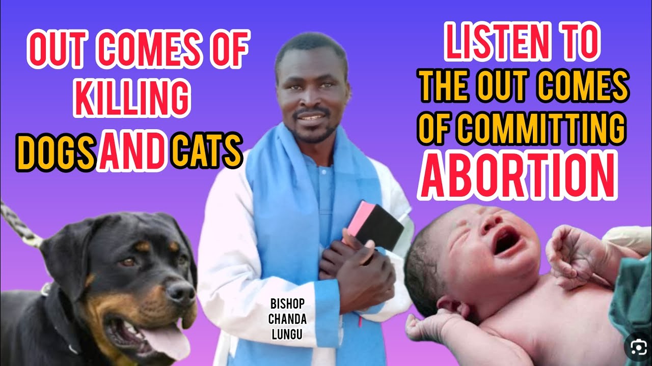 2023,CTC🌍AN/the out comes of abortion and killing dogs and cats - YouTube