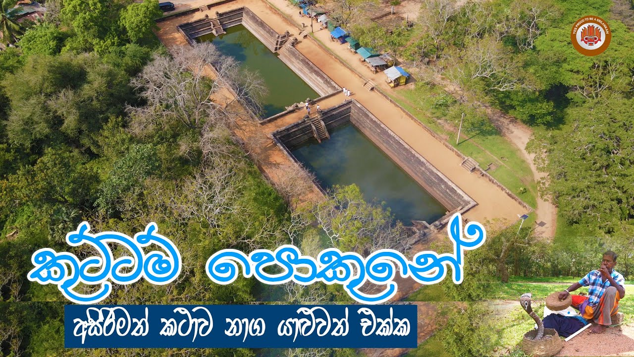කුට්ටම් පොකුනේ කතාව නාග යාලුවත් එක්ක🌿🌿KUTTAM POKUNA - YouTube