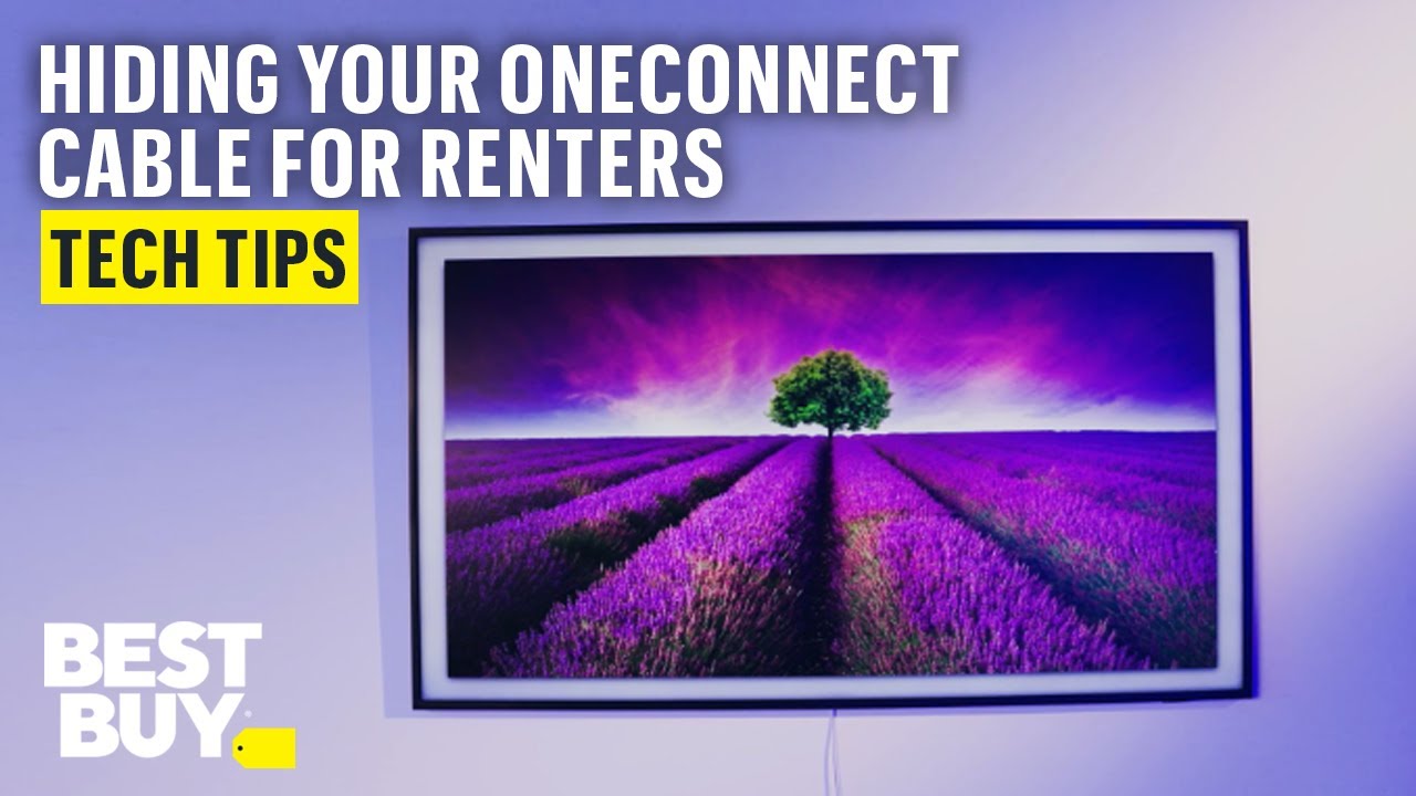 Renter Friendly Ways to Hide the OneConnect Cable on Your Samsung The ...