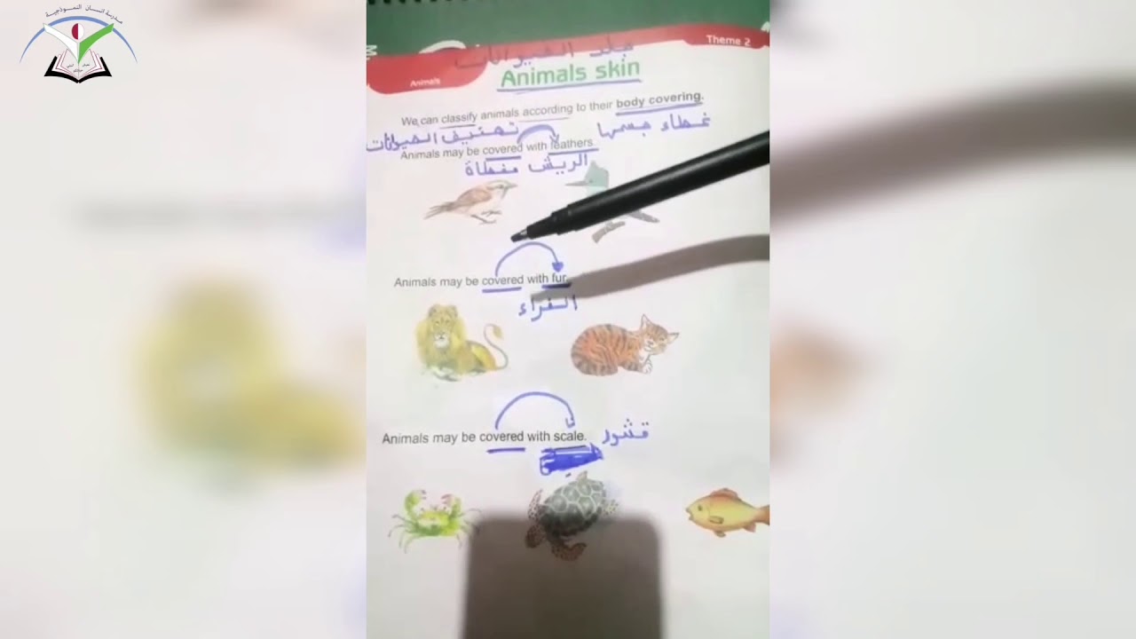 Science / animals skin / first grade - YouTube