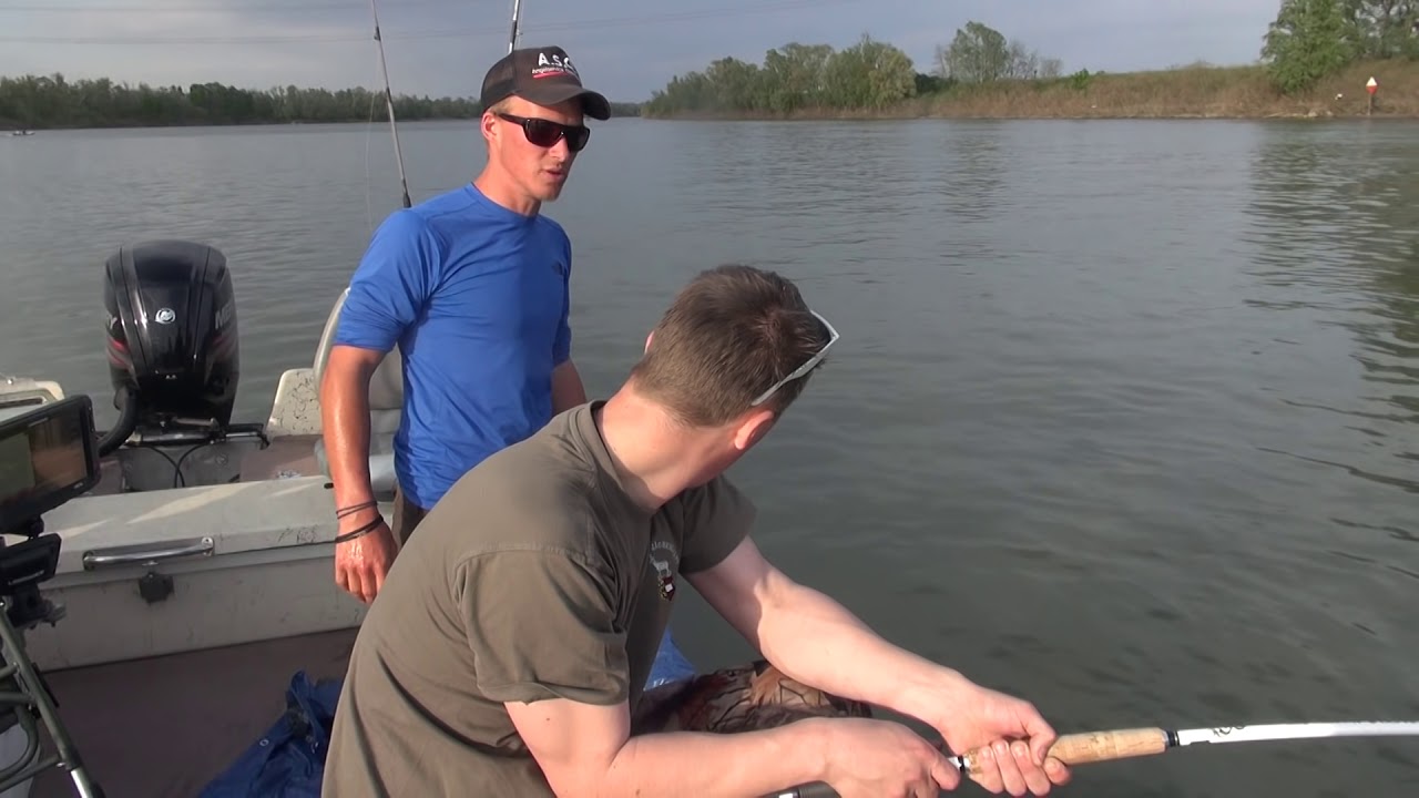 Waller 2,6 Meter am PO, Wels,Catfisch - YouTube