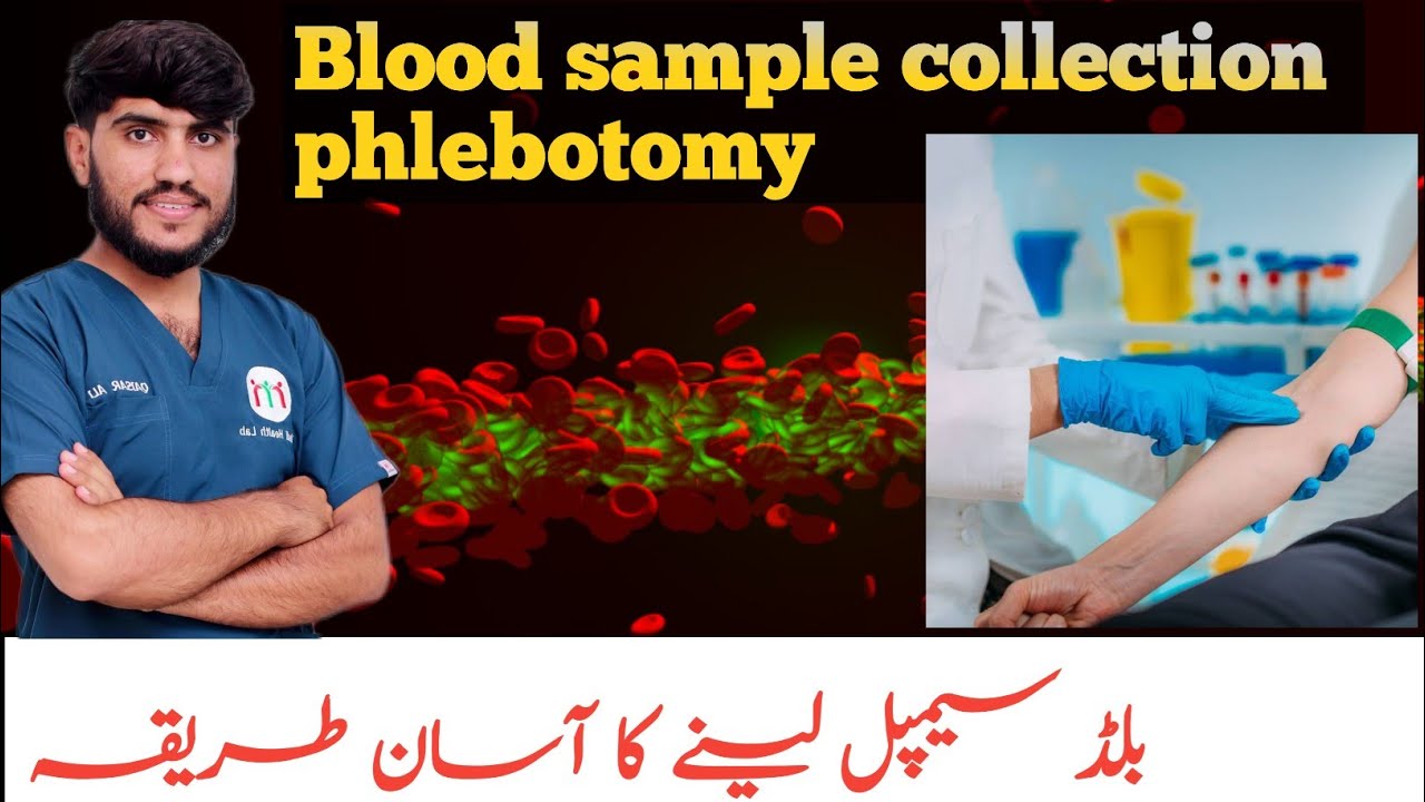 blood sample collection| how to take blood| venipuncture| phlebotomy ...