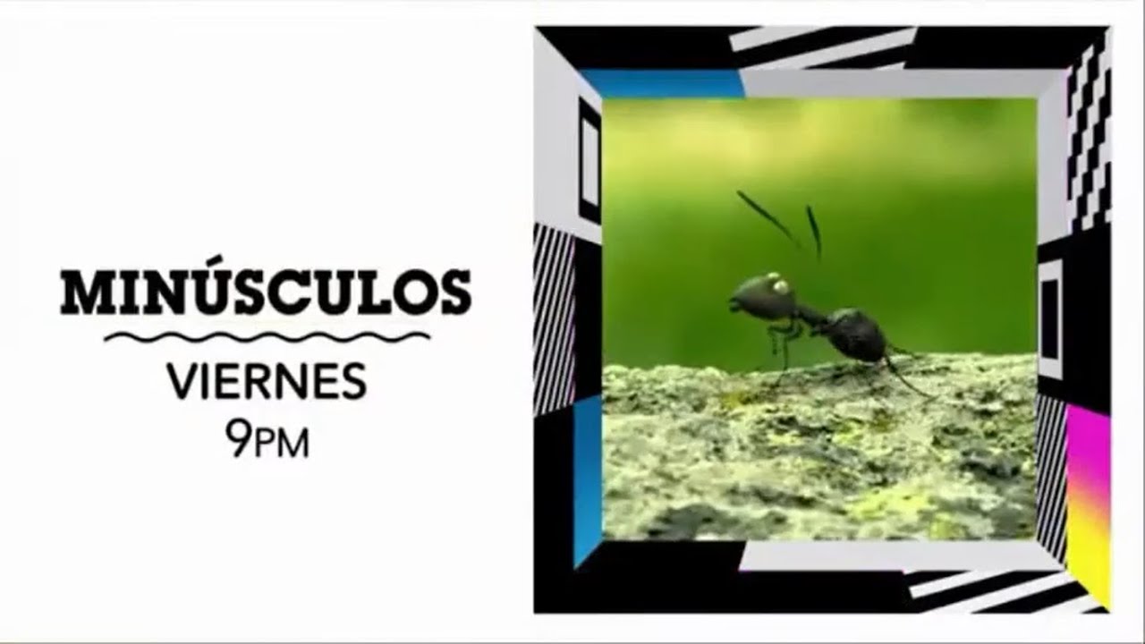 Cartoon Network LA - Cine Cartoon | Promo - Estreno "Minúsculos" (19 ...