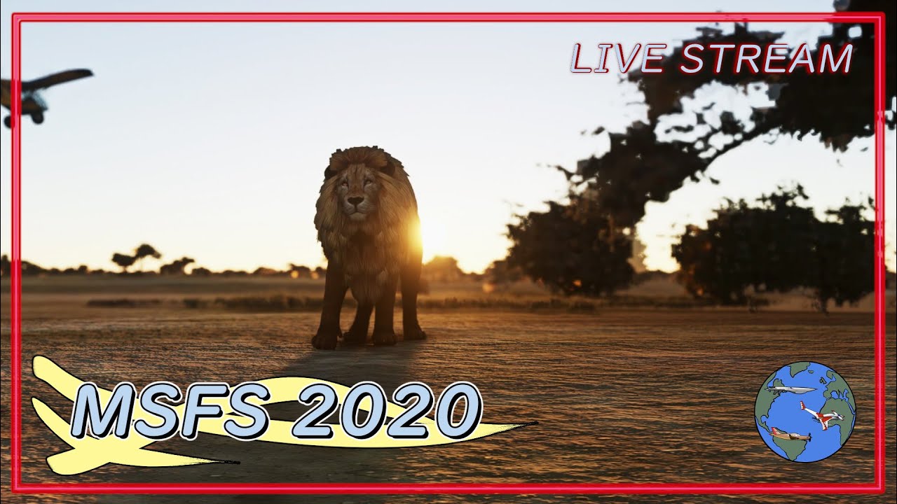 First Look At SoFly Animals!! - YouTube