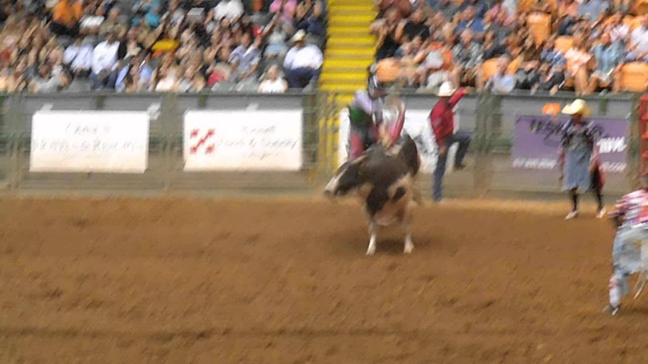 Rodeo sur Taureau Bull riding - YouTube