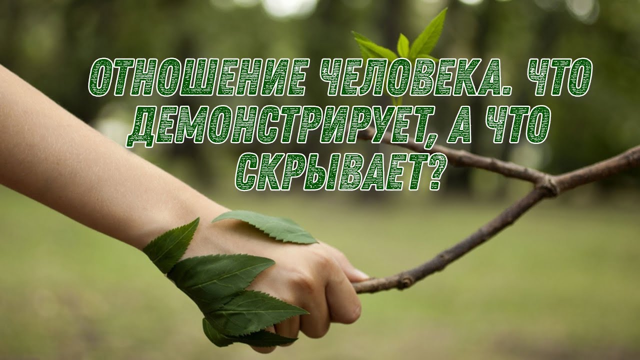 Отношение человека. Что демонстрирует, а что скрывает? - YouTube