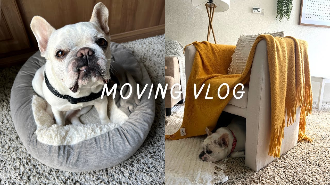 moving day + decorating - YouTube