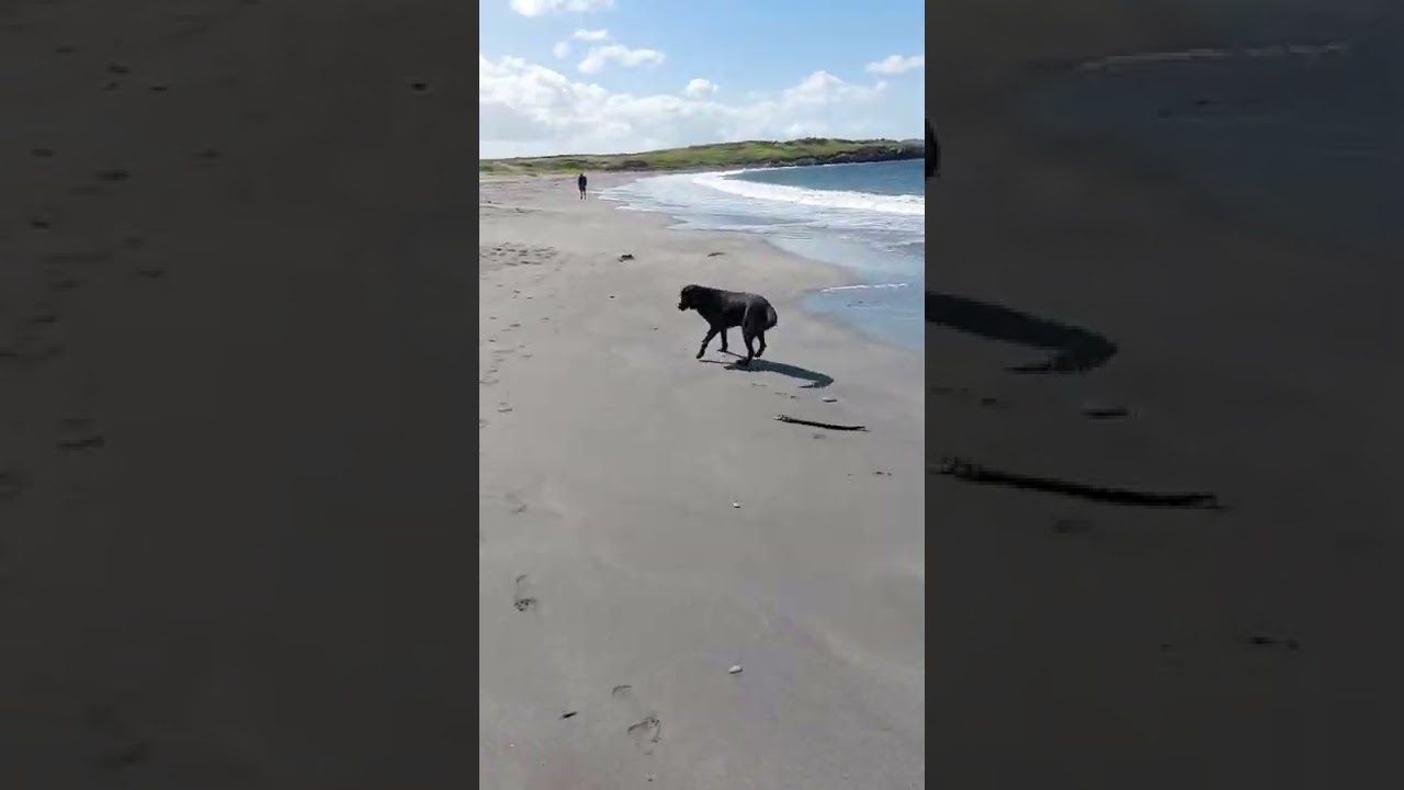 White Strand beach, Cahirsiveen, Co.Kerry. - YouTube