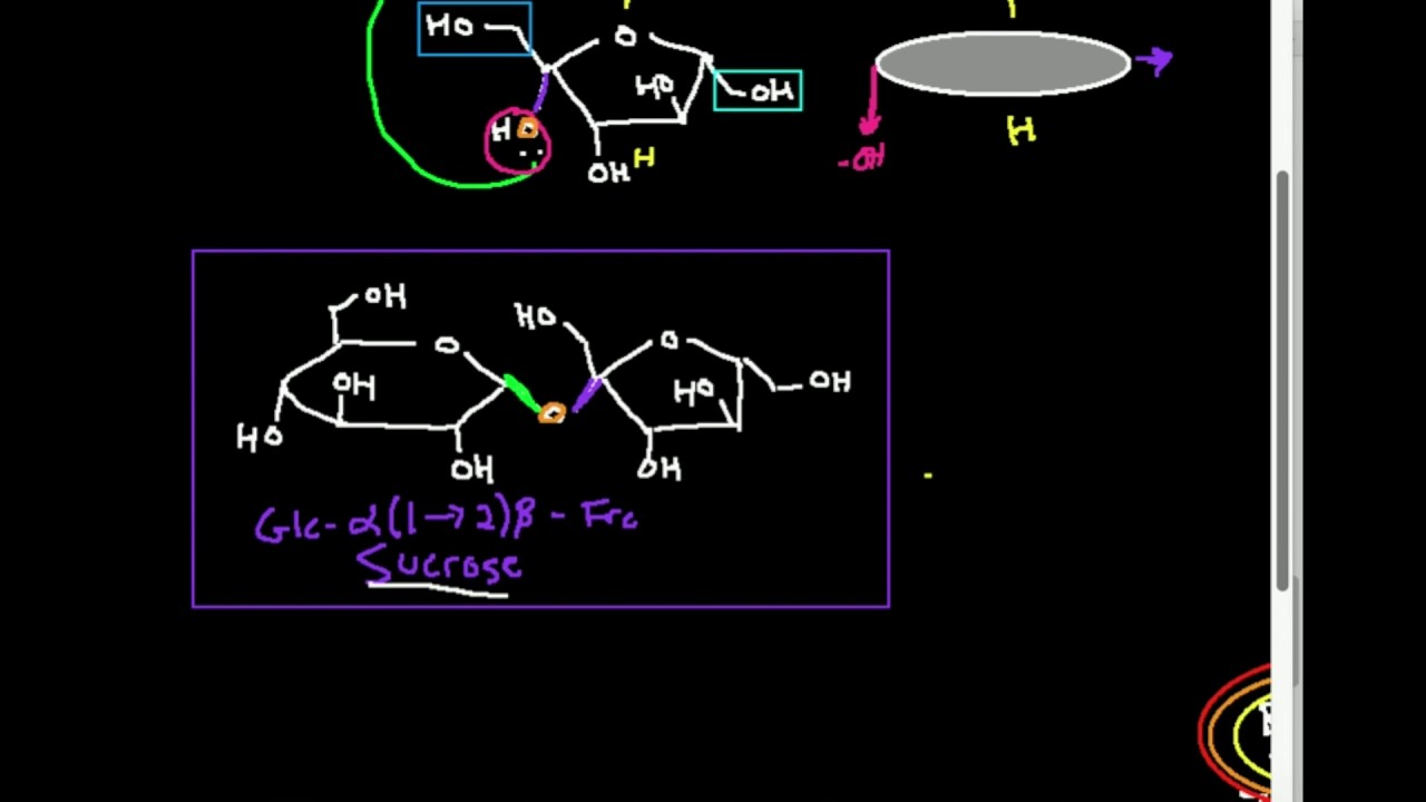 Disaccharides: Sucrose - YouTube