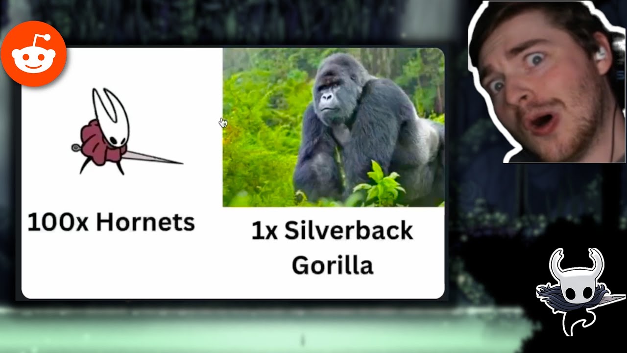 WHO WINS? (SilkSong memes) - YouTube