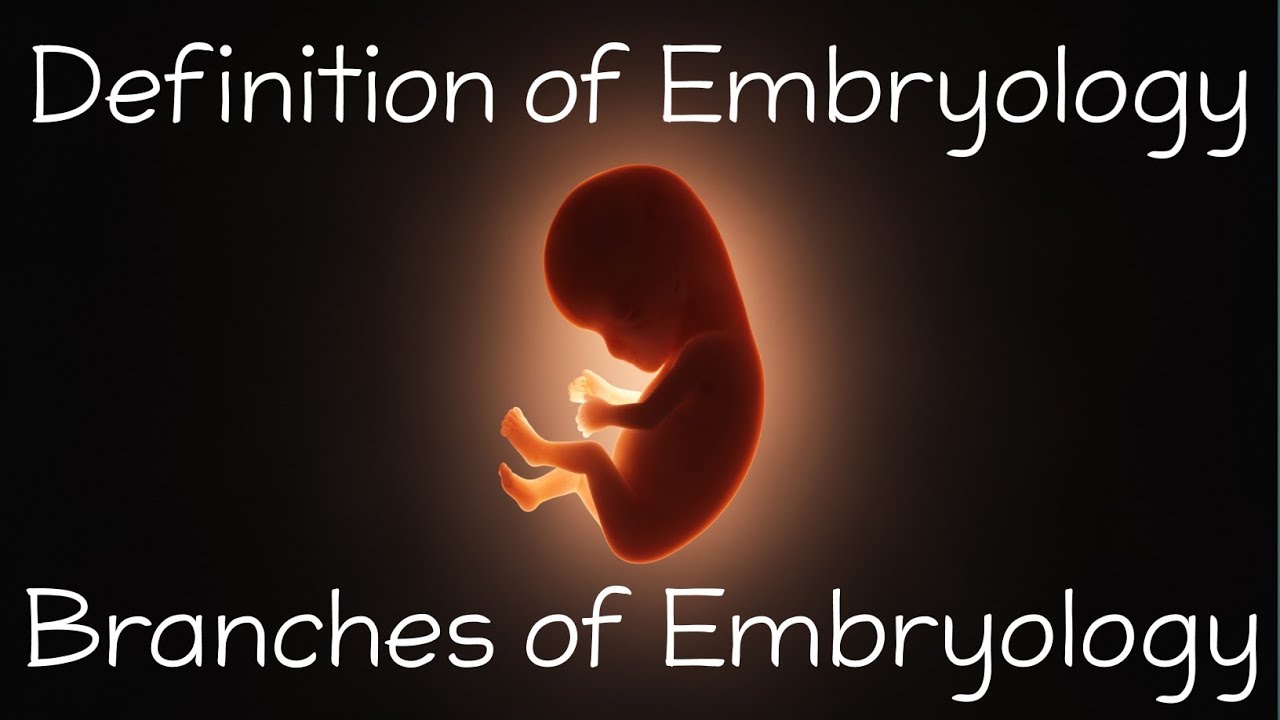1 Definition and Branches of Embryology NCISM Syllabus Shareera Rachana ...