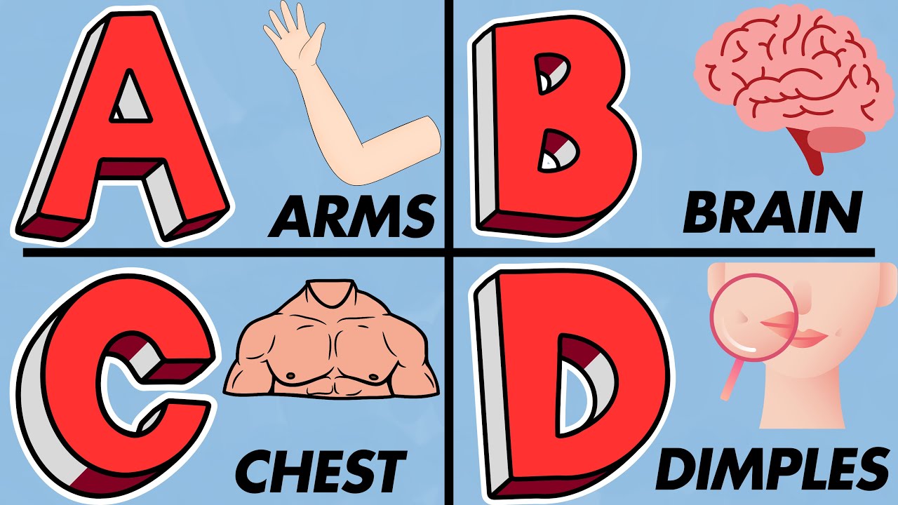 Body Part Theme ABC Phonics Song || Body Part ABC Phonics Song || ABC ...