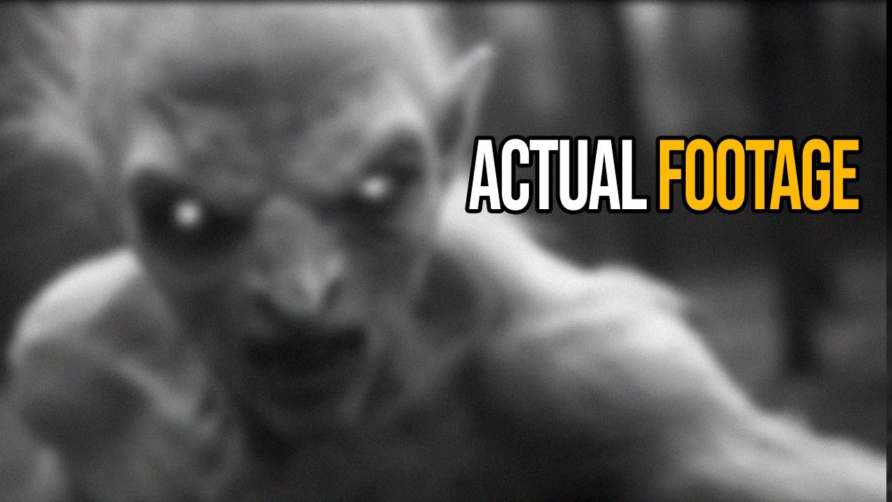 Most Insane Trail Cam Footage That Will Leave You Speechless - YouTube