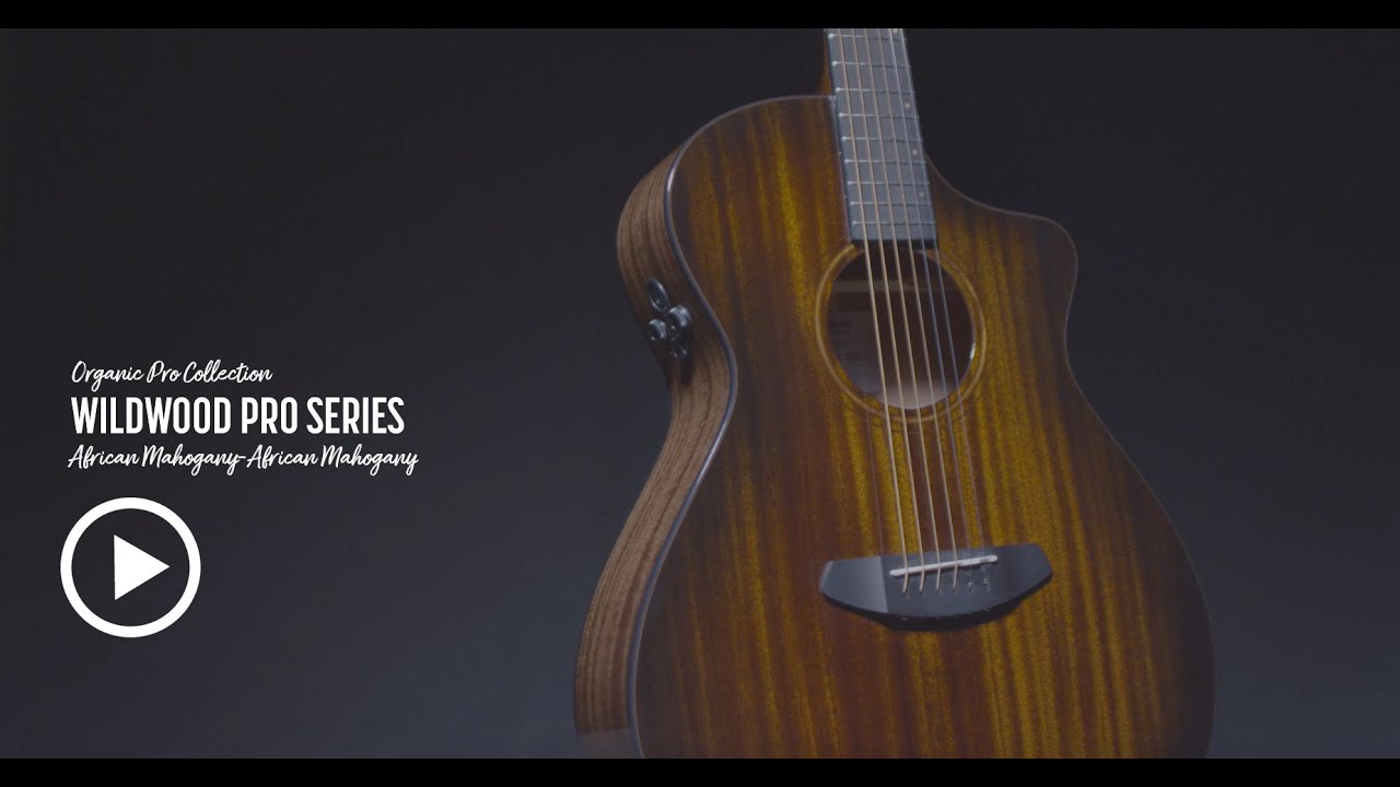 Acoustics Guitar Shop Wildwood