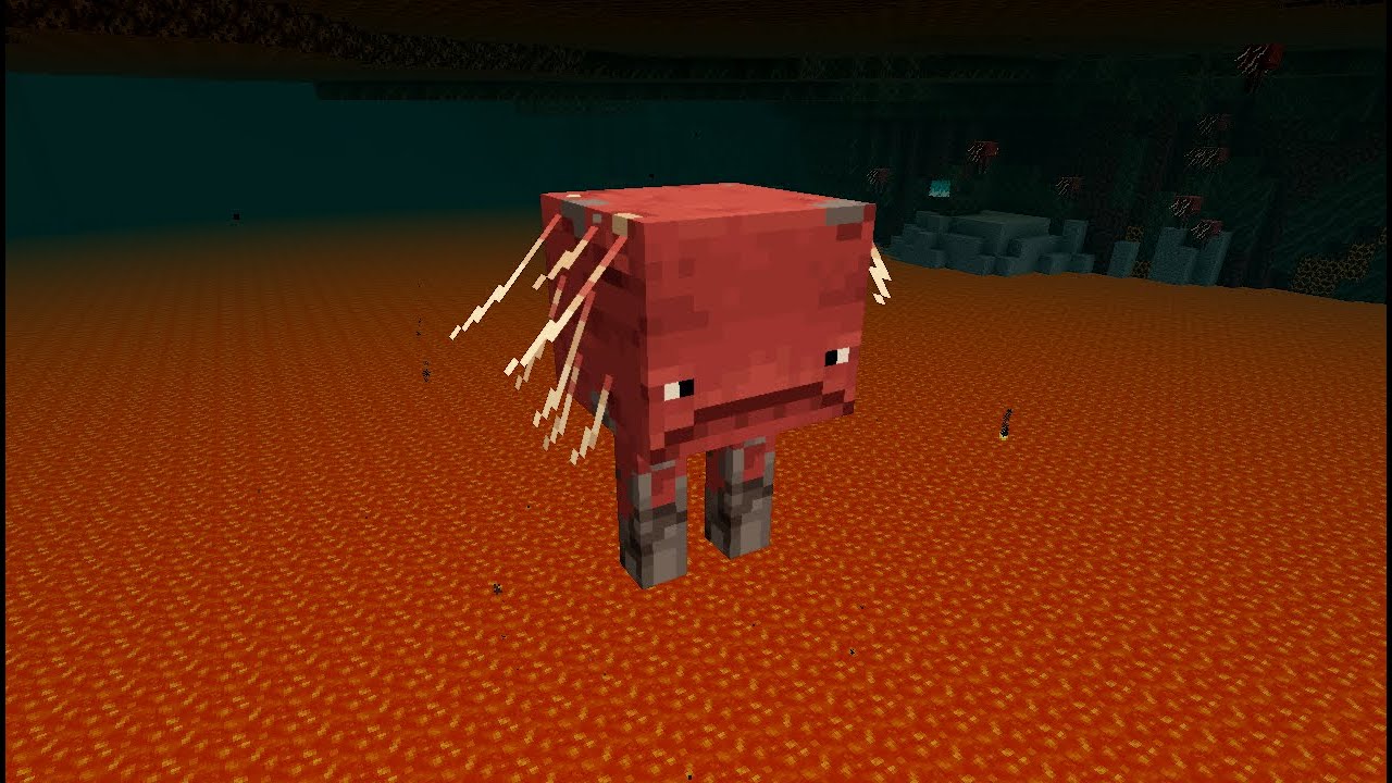 The Only Correct Thing to do with Minecraft's Strider Mob - YouTube