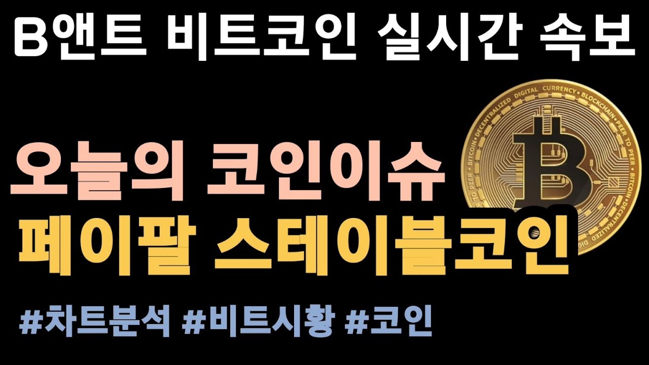 비트코인실시간 88 비트코인 페이팔 스테이블코인 출시 이더리움 호재 비트코인 이더리움 리플 비트코인