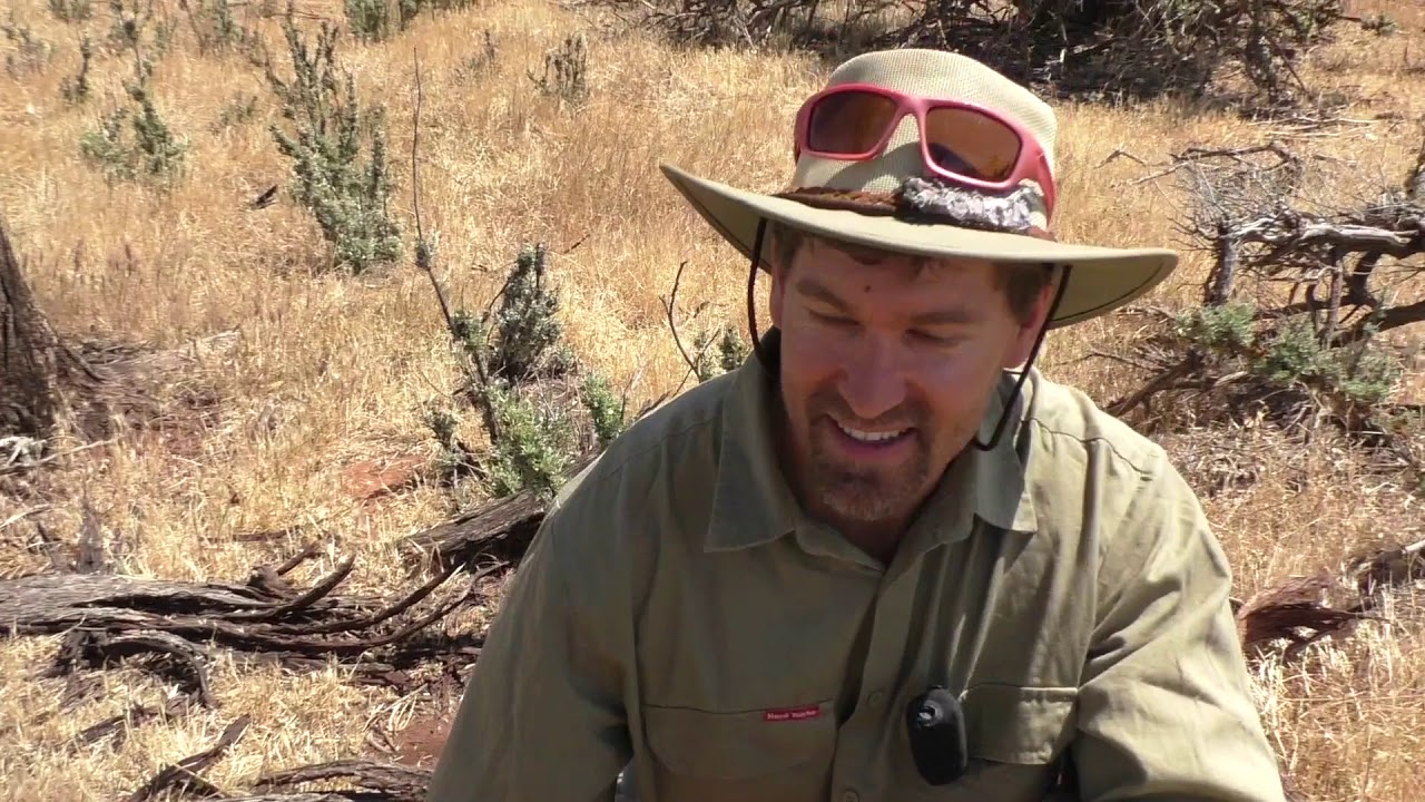 Aussie Man Hunts for Roadside Wildlife - Ep. #14 - YouTube