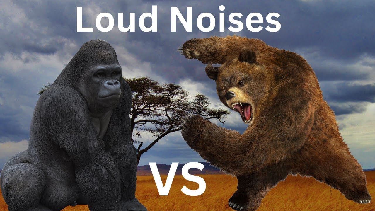 Animal Bear, Cat Chicks Deer Dogs Goats Gorillas sound - Animals Noises ...