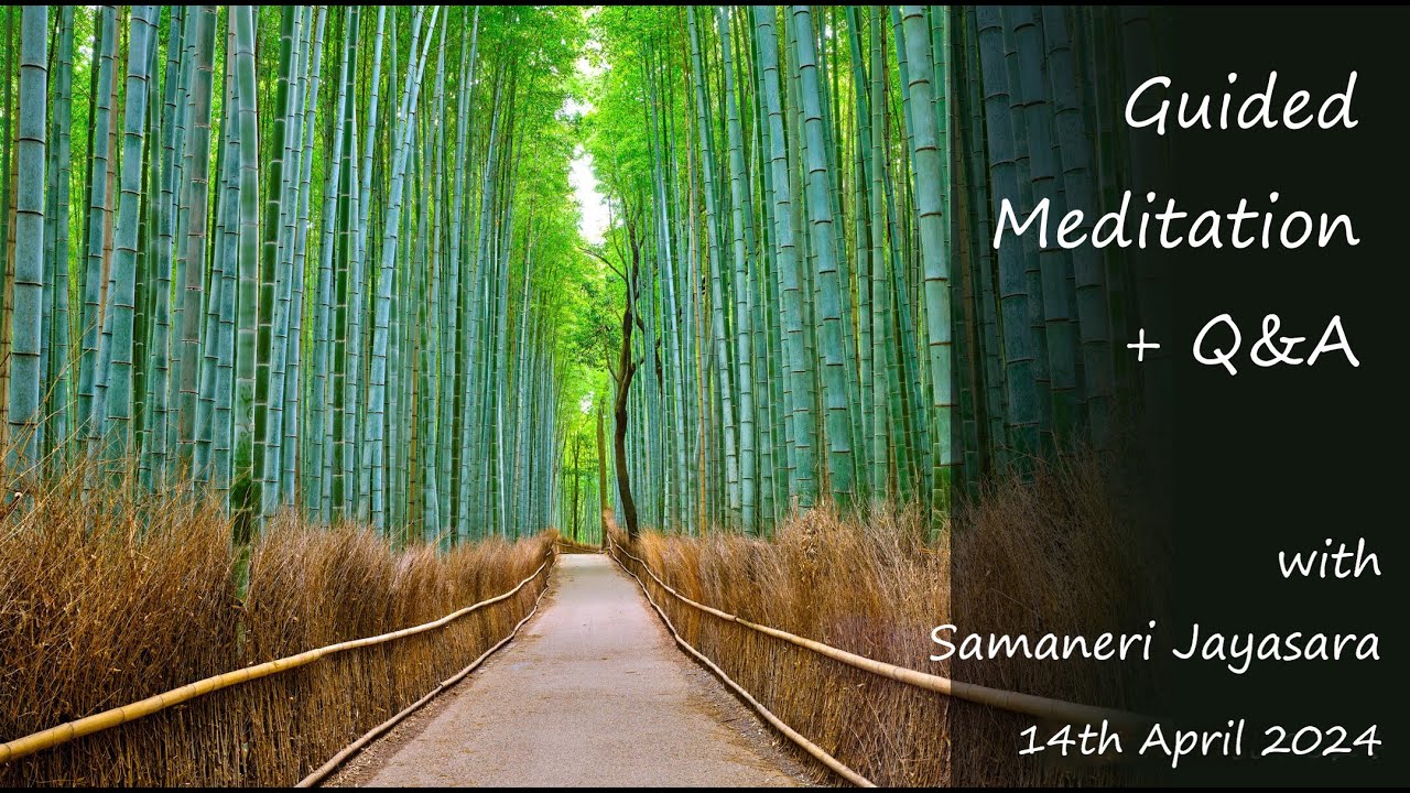 Guided Meditation + Q&A with Samaneri Jayasara ~ Sunday 14th April ...