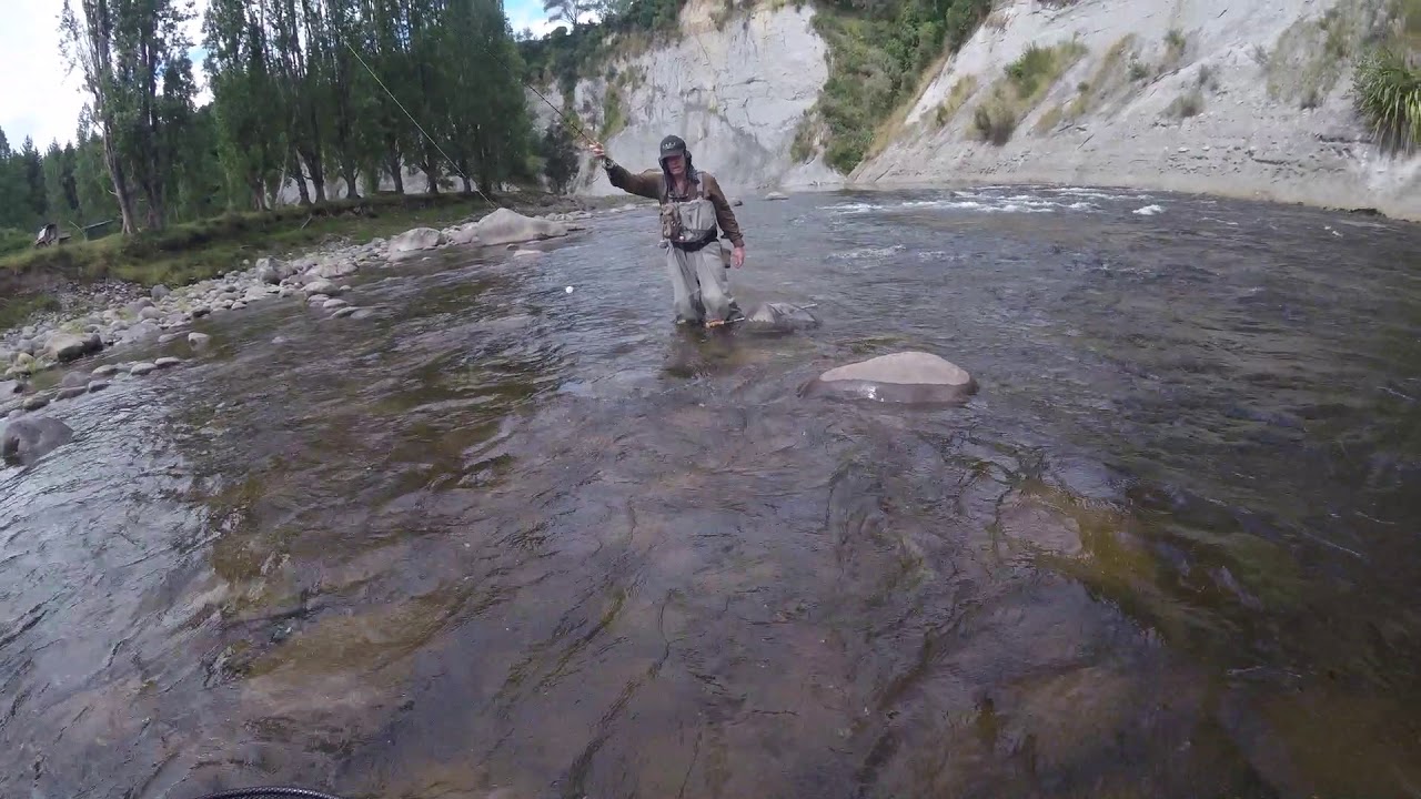 It's A Nice Fish -Aye?????? - YouTube