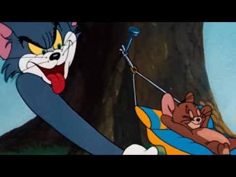 Tom and Jerry fighting scene || Tom and Jerry best cartoon video || # ...