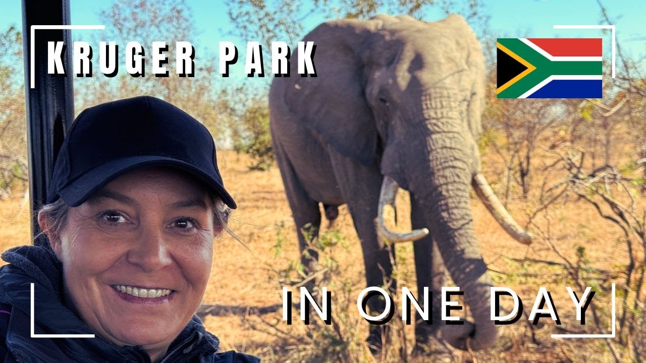 Kruger National Park Full Day Safari | South Africa - YouTube
