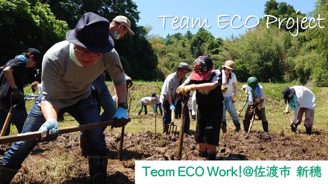 Team ECO Work！＠グリーン ACTION IN 佐渡【Team ECO Project2024🌱】 - YouTube