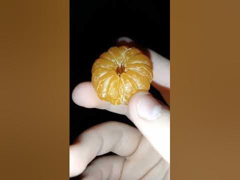 Маленький мандарин 😄😄😄 #мандарин #майнкрафт #fyp - YouTube