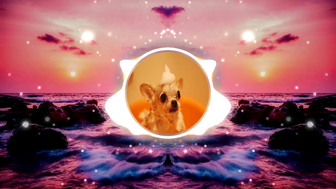 Spring In My Step - Silent Partner (No Copyright Music) - YouTube