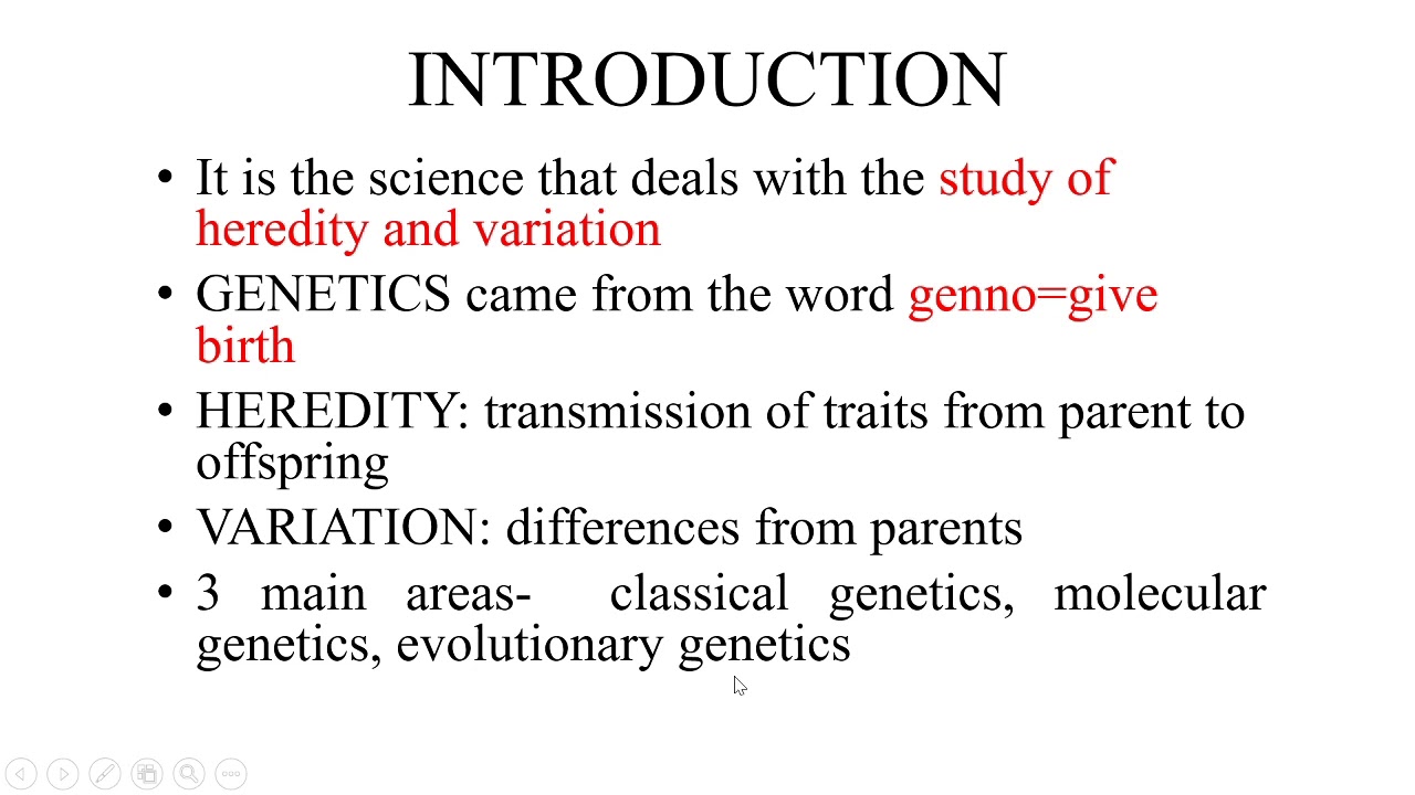 genetics introduction - YouTube
