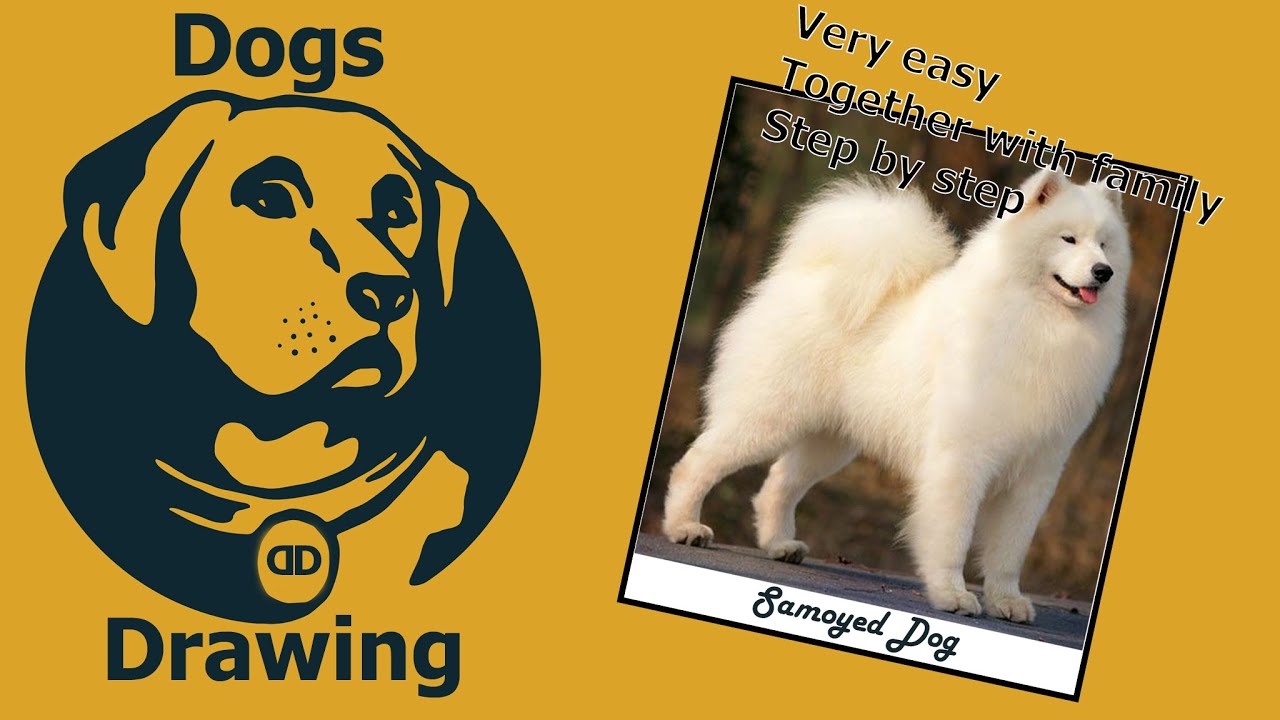 Samoyed Dog. How easy to draw a dogs. @YcanRPT - YouTube