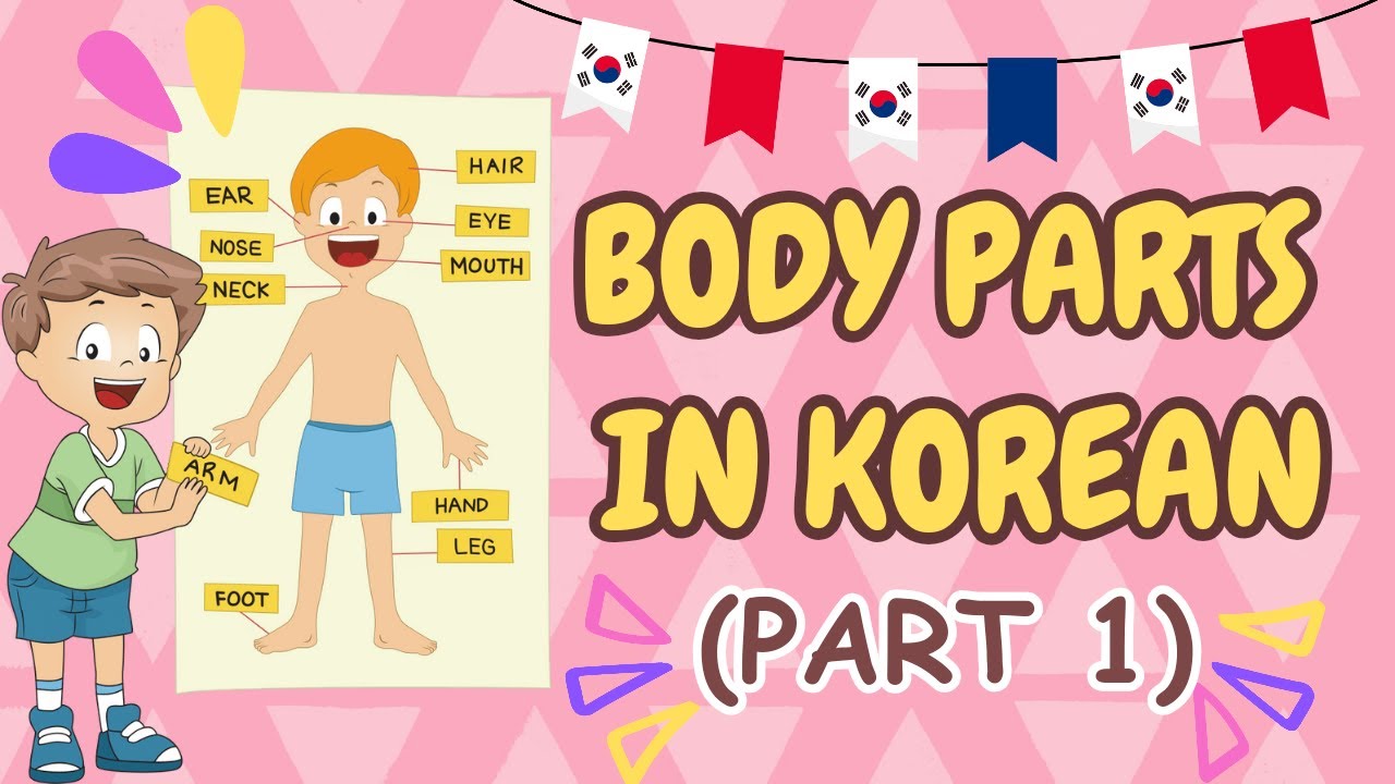 Korean Words Body Parts