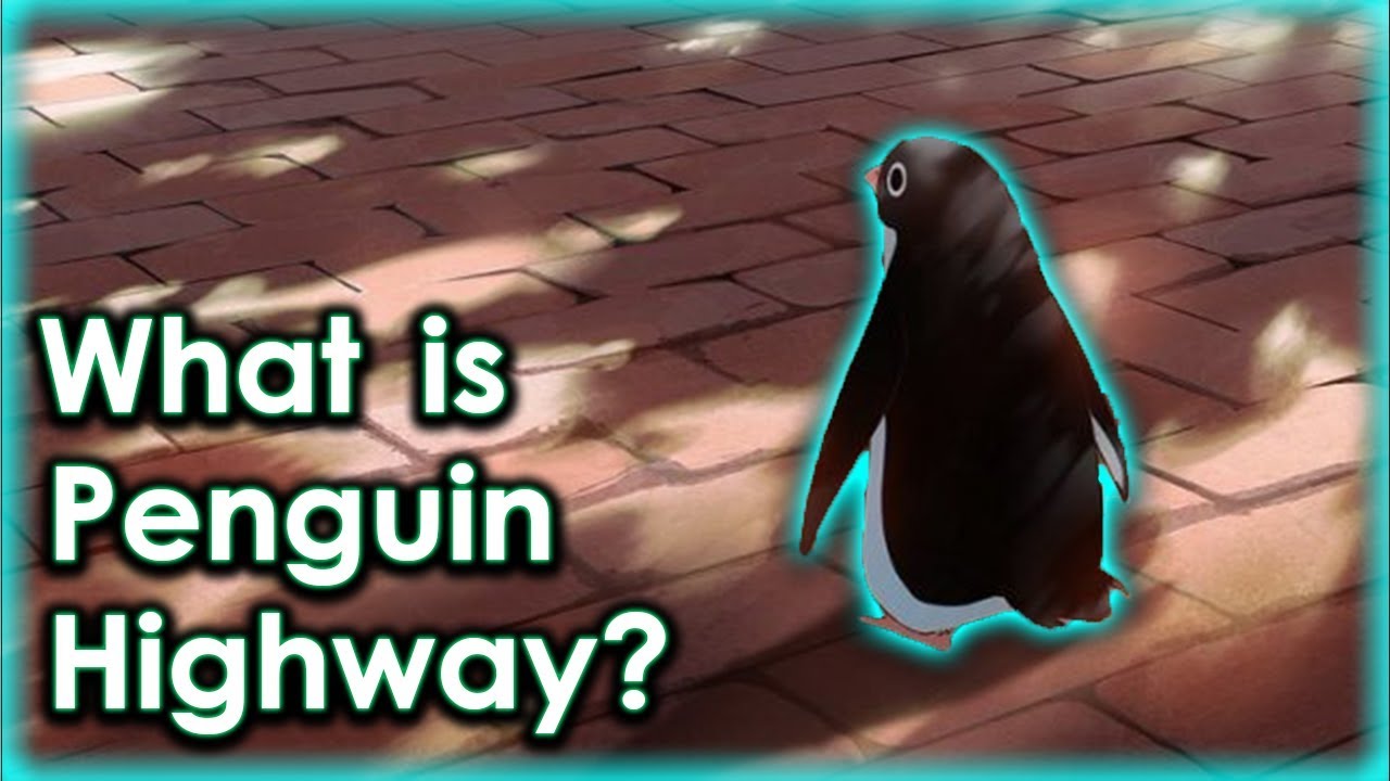 What is Penguin Highway? Summer Anime Movie 2018 - YouTube