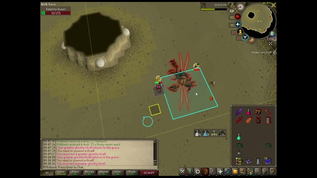 Kalphite Queen grindin - OSRS'n'Chill - YouTube