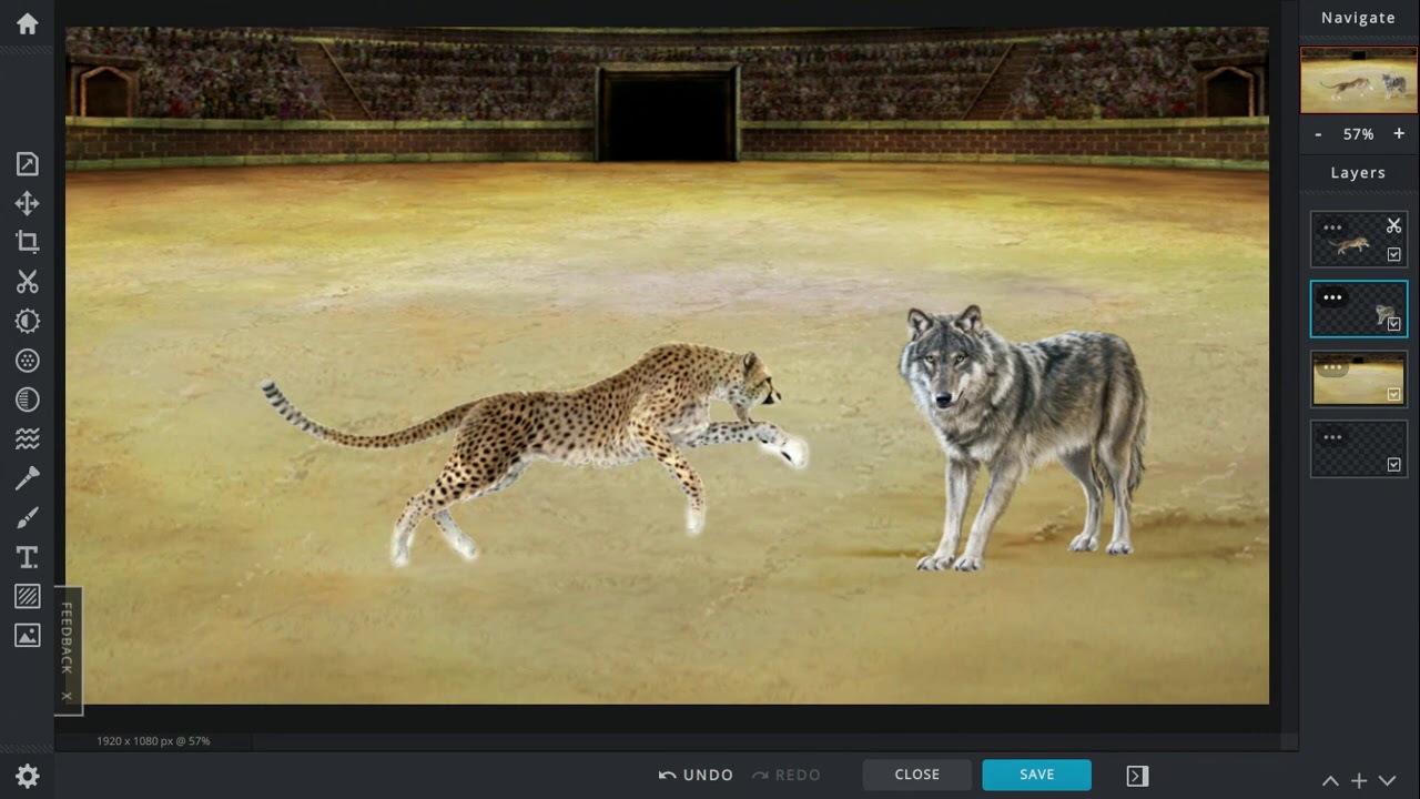 Cheetah Vs Wolf