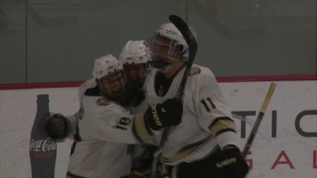 The Complete Look: Dominic Franco Hat Trick vs. Niagara 11-24-18 - YouTube