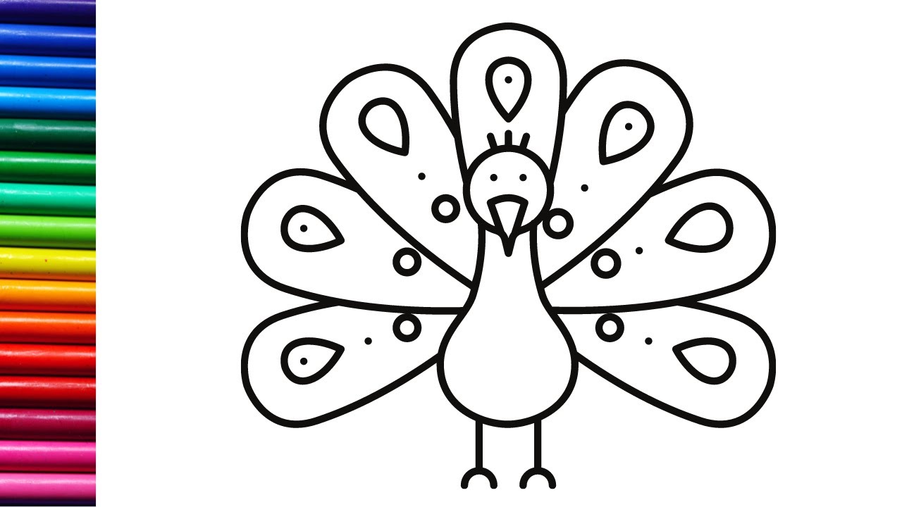 How to draw and color Peacock for kids and toddlers| Drawing peacock ...