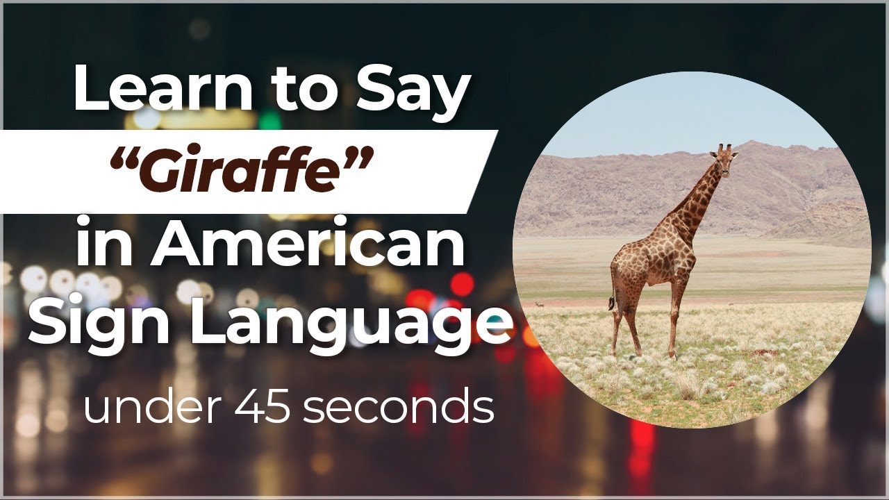 Signing in Seconds: Learn how to say GIRAFFE in ASL! LESS THAN 40 ...