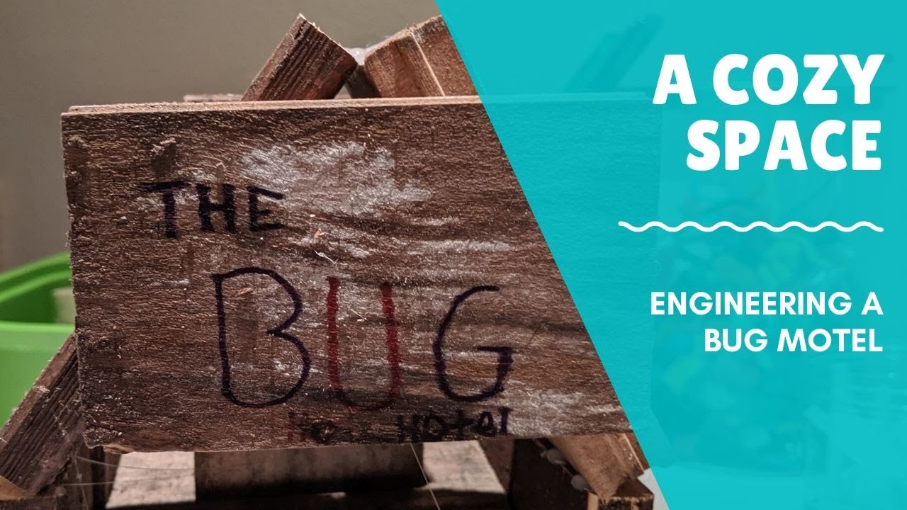 Bug Hotel Design and Engineering - Kids Engineering Activity - YouTube