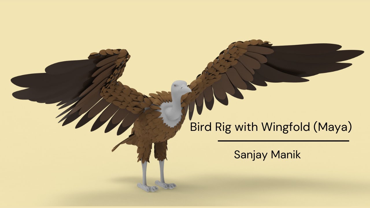 "Bird Rigging Showreel" by Sanjay Manik | Rigging Reel - YouTube