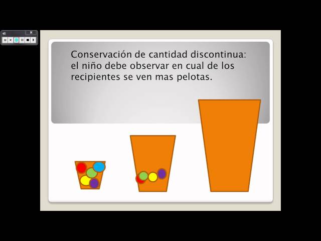 Que Es La Nocion De Conservacion De Cantidad - Descargar Pdf