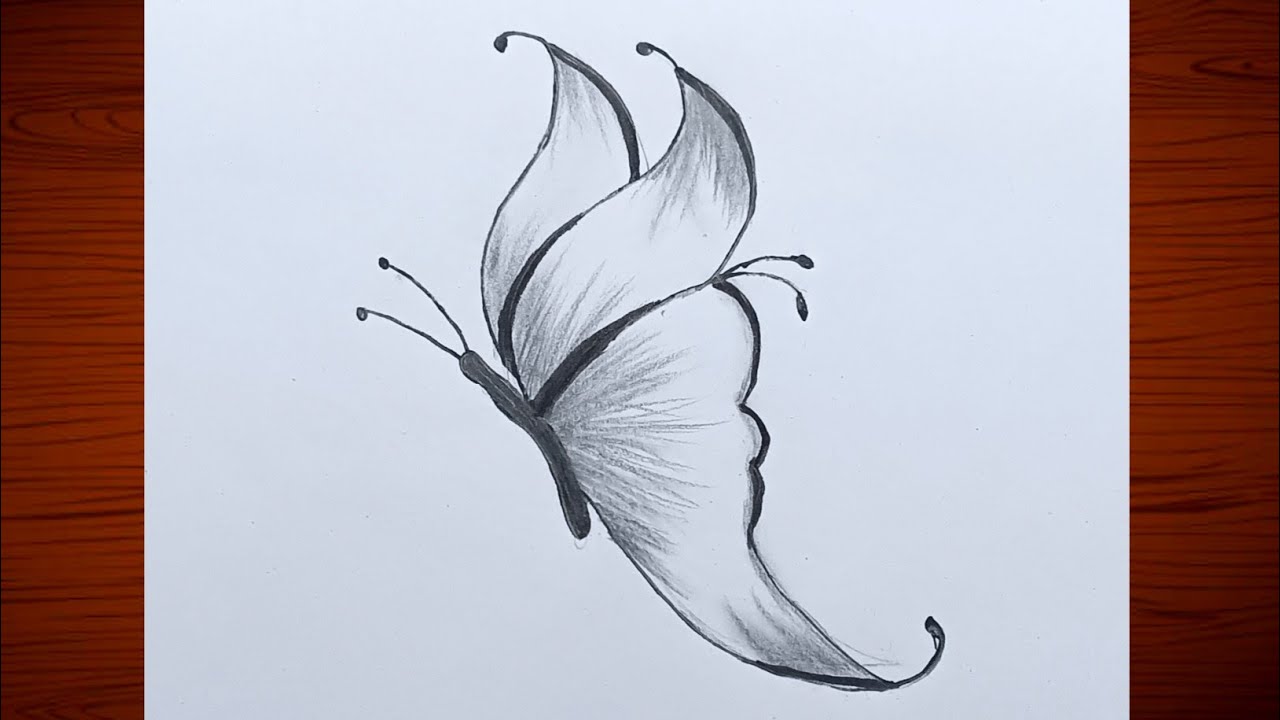 Butterfly drawing || Beautiful butterfly drawing || How to a draw ...