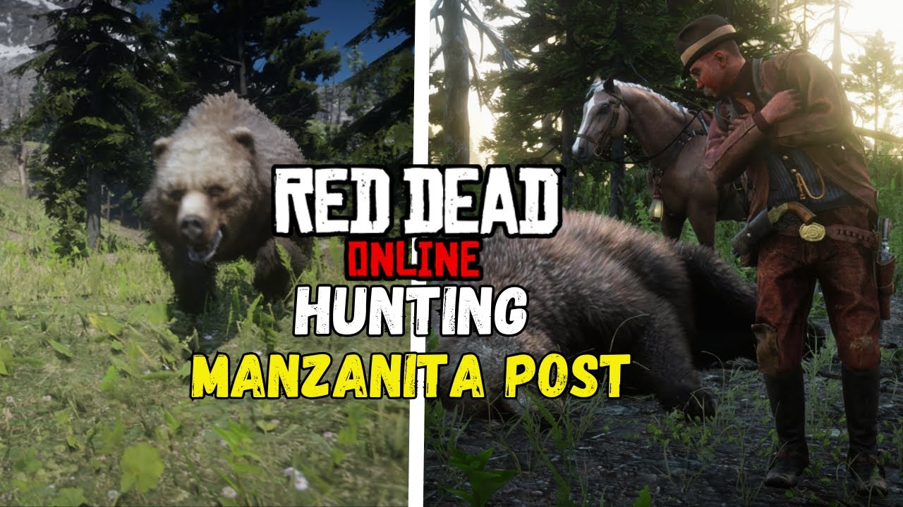 Red Dead Online Best Hunting Locations In Manzanita Post 🐐 - YouTube