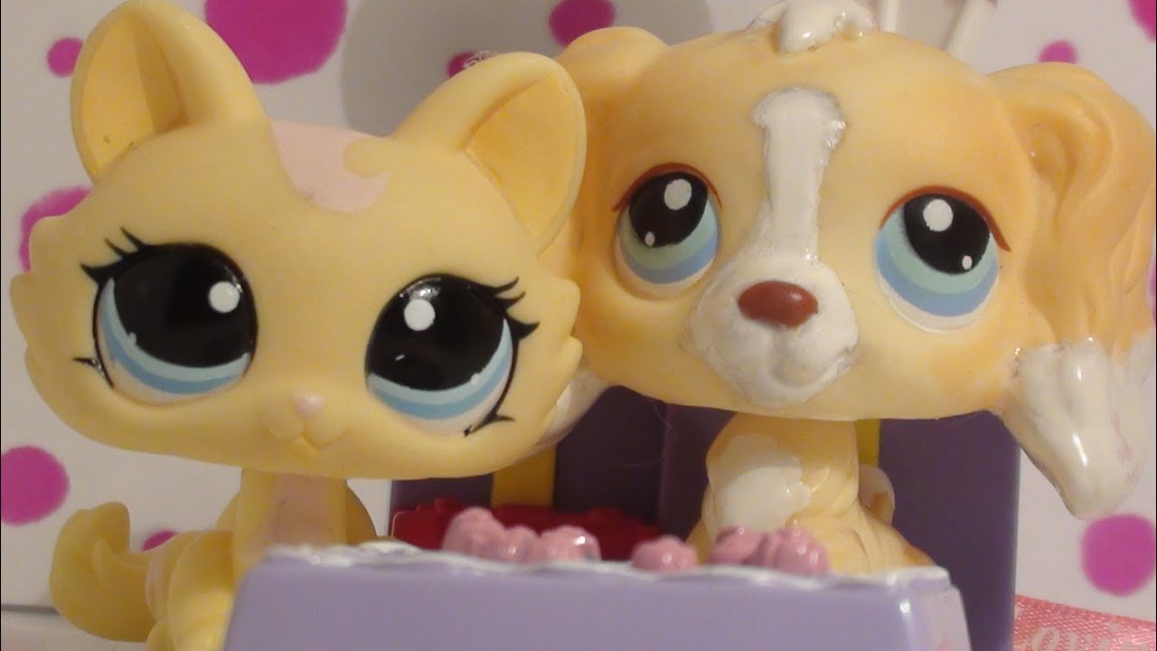 LPS MV: Birthday (Happy Birthday Ace!) - YouTube